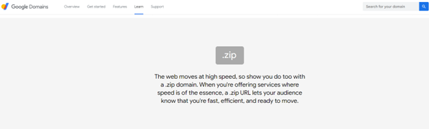 The New Google .zip TLD: Examining Potential Cybersecurity Risks